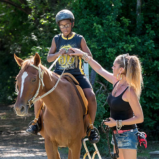 Tobago Horse Riding | Eco Park Inn